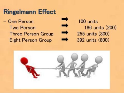 Ringelmann Effect – The Safe Zone